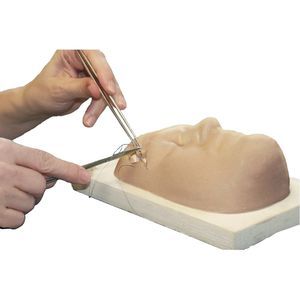 Suture anatomical model - All medical device manufacturers
