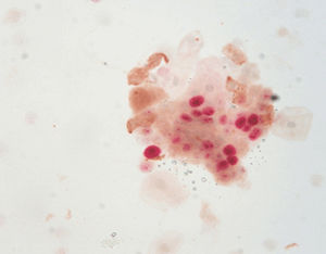 Stain reagent kit - SD8005 - Celnovte Biotechnology Co., Ltd. - tissue ...