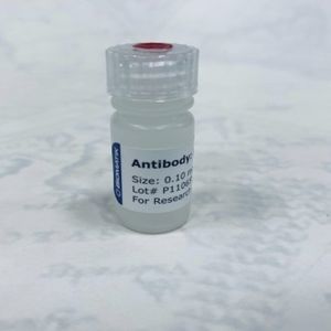 Biomatik: Laboratory - MedicalExpo