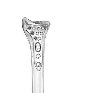 Radius compression plate - Aplus Biotechnology - distal / locking ...