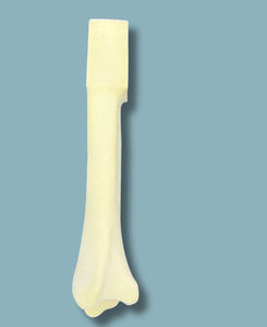Tibia anatomical model - 03-23-01 - ADDIDREAM - surgery / training / trauma