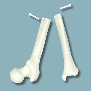 Knee model - 04-15-02 - ADDIDREAM - surgery / training / plastic