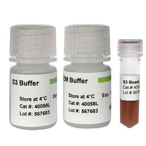 Magnetic bead-based reagent - 40053 series - BioDynami - for PCR / for ...