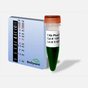 DNA ladder - 10004 series - BioDynami - for DNA quantification