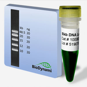 DNA ladder - 10004 series - BioDynami - for DNA quantification
