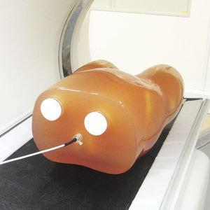 CT scan test phantom - ACS - Kyoto Kagaku - head