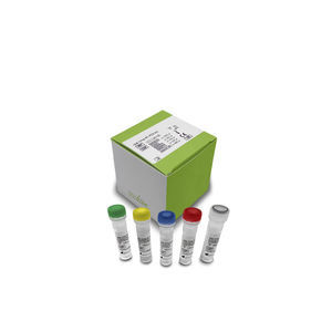 RT-PCR reagent, RT-PCR reagent kit - All medical device manufacturers