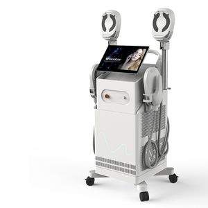 Magnetic pulse body contouring unit - Renaface® EF30 - Beijing ...