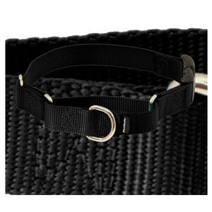 Dog veterinary collar - KeepSafe® - PetSafe