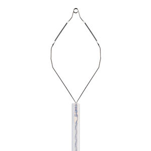 Polypectomy snare - Lariat® BX00711119 - US endoscopy