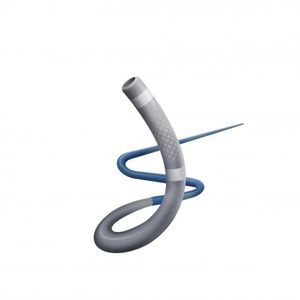 Diagnostic catheter - All medical device manufacturers - Page 2