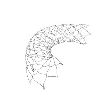 Intracranial stent - All medical device manufacturers