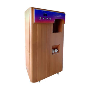 Steam disinfection system - Anand Medicaids - mobile / automatic