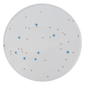 Medium reagent - TA672 - CHROMagar - tissue / diagnostic / for food ...