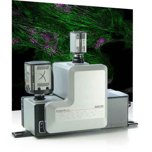 Confocal cell imaging system - Dragonfly 500 - Oxford Instruments ...