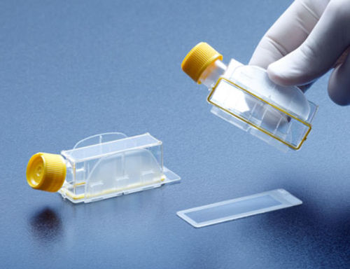 Cell culture flask - Clipmax - TPP Techno Plastic Products - glass