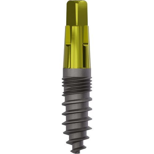 Conical dental implant - 1020 - Champions Implants GmbH - titanium ...