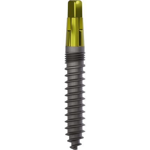 Conical dental implant - 1160 - Champions Implants GmbH - titanium ...