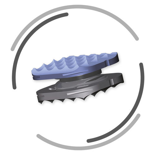 Cervical disc prosthesis - ROTAIO - Signus Medical