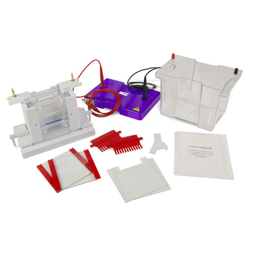 Protein electrophoresis system - OmniPAGE mini - Cleaver Scientific ...