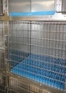 Modular veterinary cage - 1018/Rev2 - RICA Surgical - polycarbonate