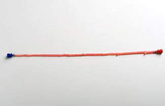 Saphenous vein vascular bioprosthesis - CryoVein® - Cryolife - allograft