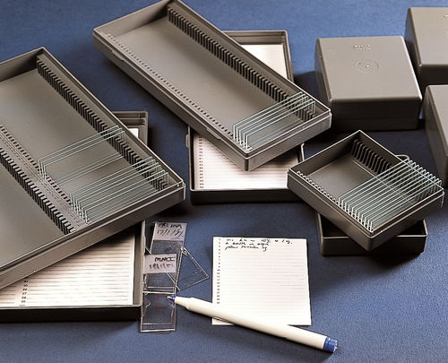 Microscope slide laboratory rack - 276 - Kartell S.p.A.