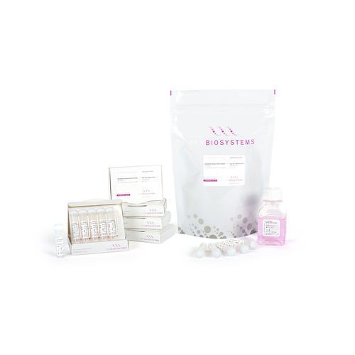 DNA polymerase reagent kit - qPCRBIO SyGreen Mix - PCR Biosystems Ltd ...