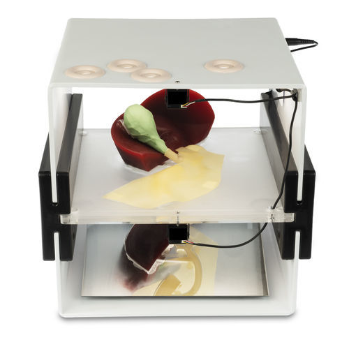 Abdominal surgery simulator - *LCBDE-Trainer - 3-Dmed - training ...