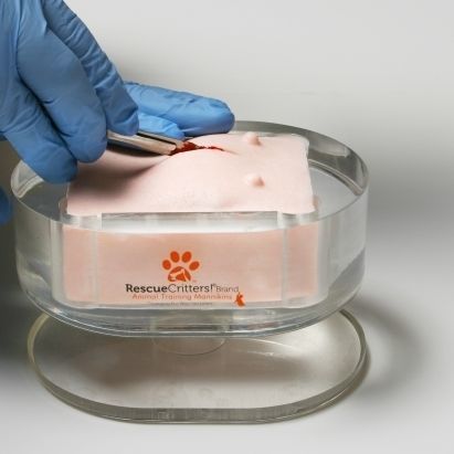 Ovariohysterectomy training manikin - 255 - Rescue Critters - for ...