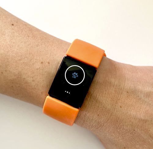 Wearable patient monitor - Rescue Critters - blood pressure / SpO2 ...