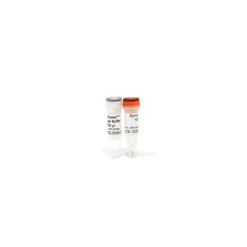 Enzyme reagent - Zymolyase - Zymo Research - for protein purification ...