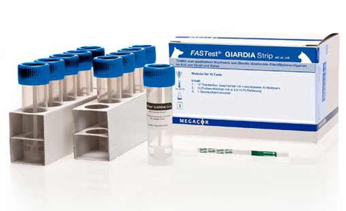 Rapid giardiasis test - FASTest® - MEGACOR Diagnostik - for antigens ...