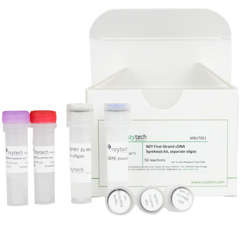Reverse transcriptase reagent kit - MB170 - NZYTech - for cDNA ...