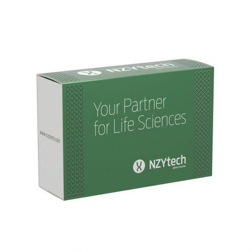 Enzyme reagent kit - Polaris® - NZYTech - reverse transcriptase / RNase ...