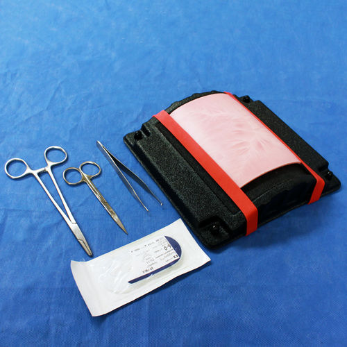 Wound suture instrument kit - 12 series - LifeLike BioTissue Inc.