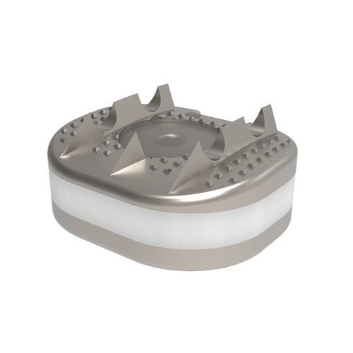 Cervical disc prosthesis - D-Flex - NORMMED Medical Devices