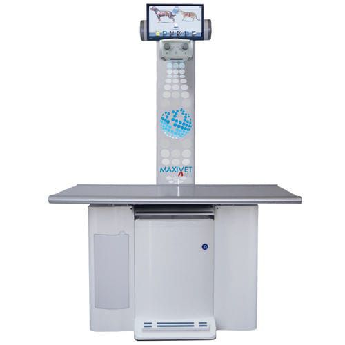 Veterinary X-ray system - Maxivet 300 HF - COMES ELECTRO SRL - digital