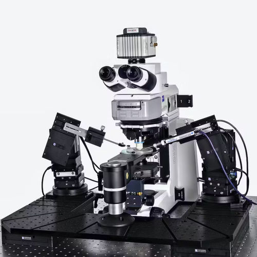 Patch-clamp system - Patch Pro 6000 - Scientifica
