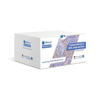 NGS reagent kit - DEPArray™ OncoSeek - Menarini Silicon Biosystems ...