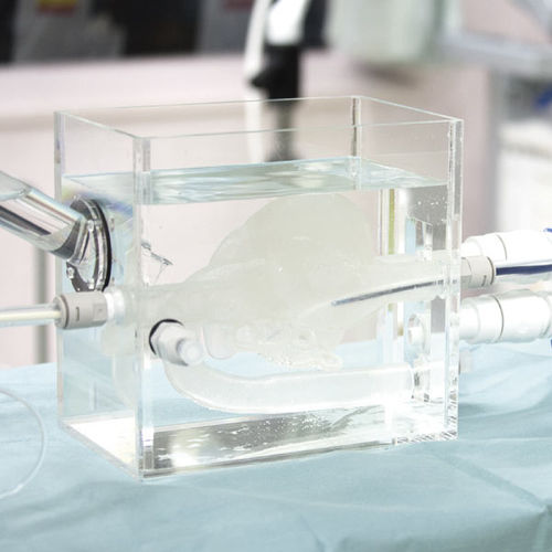 Heart vascular model - Ablation Model - JMC Corporation ...