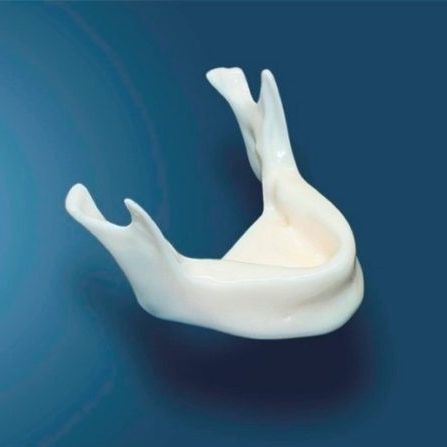 Mandible model - DOTFOX - for implantology / polyurethane / white