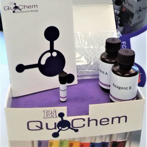 Oxidative stress assay kit - KB03009 - Bioquochem - nitrite / for ...