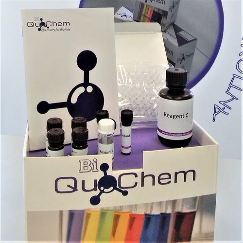 Oxidative stress assay kit - KB03007 - Bioquochem - colorimetric / for ...
