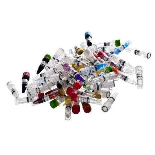 DNA polymerase reagent - Titan HotTaq - BioAtlas - for research / for PCR