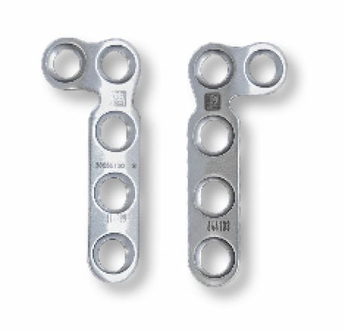 Dog veterinary bone plate - 30055125 DX-RIGHT - Gruppo Bioimpianti ...