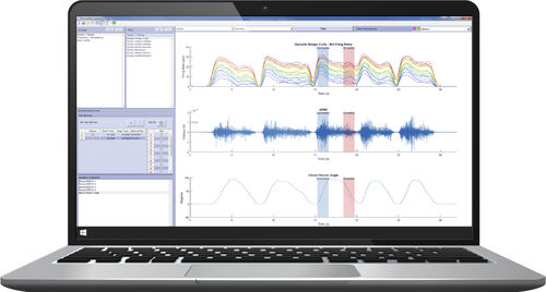 Analysis software - NeuroMap - Delsys - acquisition / recording / for electrophysiology