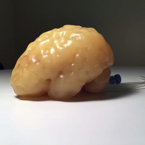 Radiography test phantom - BN-A02 - True Phantom Solutions - for CT ...