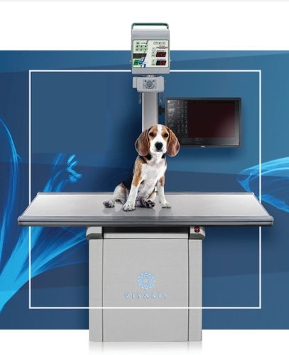 Veterinary X-ray system - VISION VET - Visaris - digital / with table