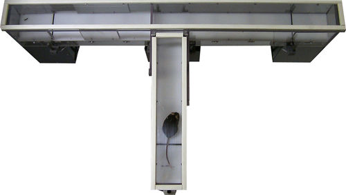 T experiment maze - Imetronic - for animal research / for mice / for rats